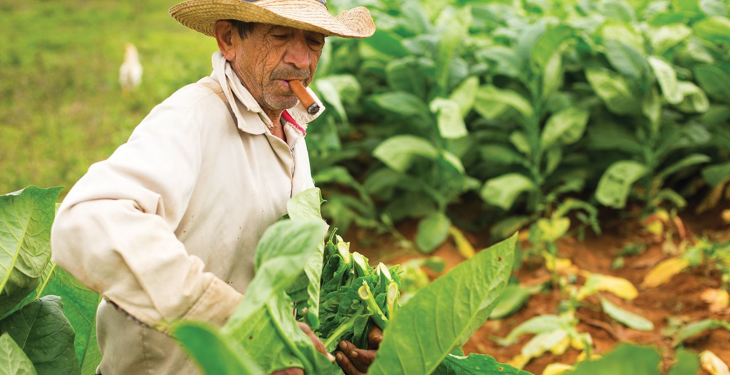Kelionė į Kubą: ką svarbu žinoti ir pamatyti lankantis pirmą kartą ...