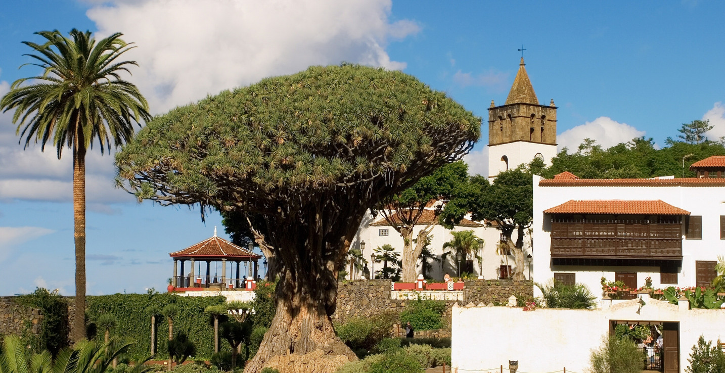 Aplankykite Tenerifę: kurortai, pramogos ir kita informacija | Novaturas